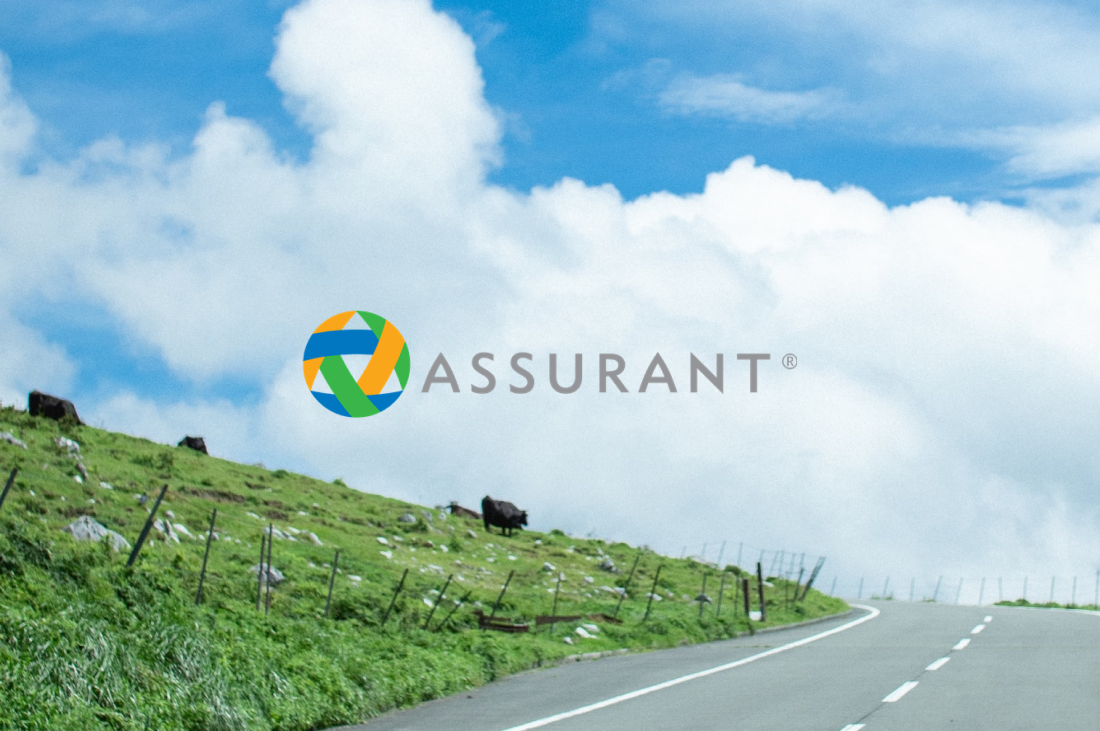 Assurant Case Study – The Zeitgeist